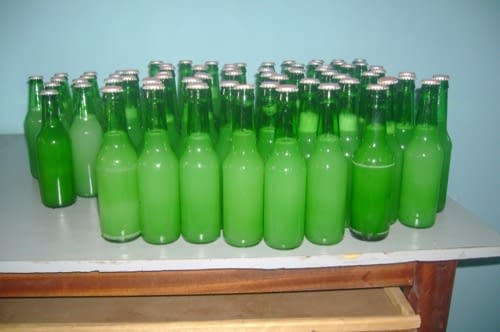 Pasteurized Palm Wine – ANAG – Chede Cooperative Union